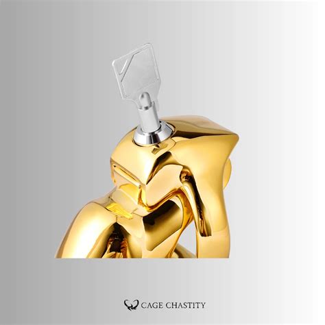 Holy Trainer V5 Gold Metal Chastity Cage Luxurious 2025 Press Lock