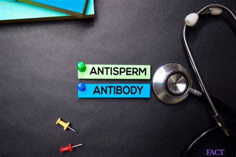 Antisperm Antibody Test Results Procedure And Risks Factdr