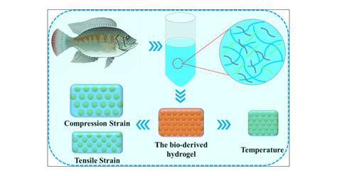 Bioderived Composite Hydrogel Sensor Combining Superstretchability