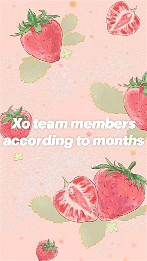 Xo Team Members According To Months