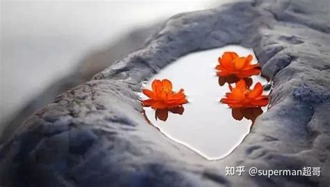 Opengauss学习笔记 117 Opengauss 数据库管理 设置数据库审计 查看审计结果 知乎