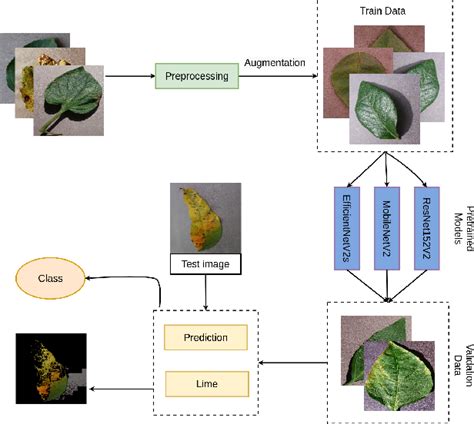Figure 1 From Plant Leaf Disease Detection Using Transfer Learning And Explainable Ai Semantic