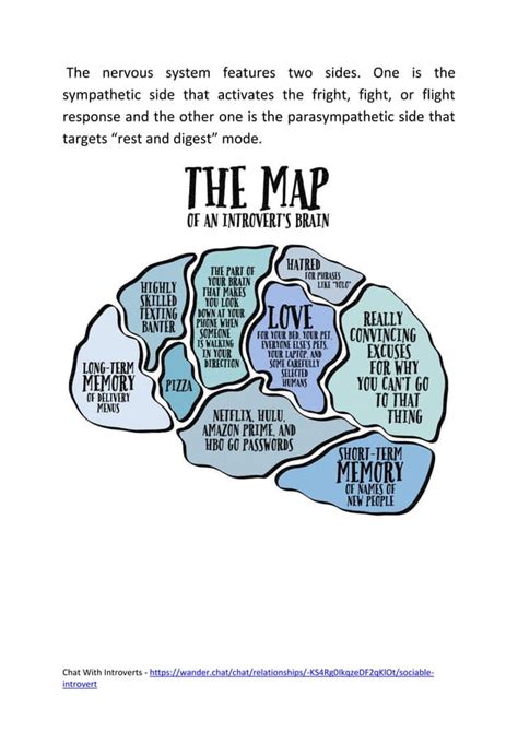 How Introverts Brains Function And Why It Is Different Between Extroverts Brains PDF