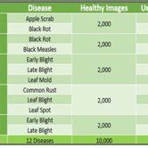 CNN Process Model Download Scientific Diagram