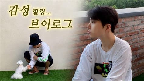 Cc 영재의 감성 힐링 브이로그 Youtube