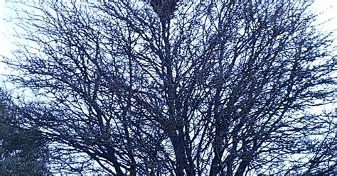 Testing Album On Imgur