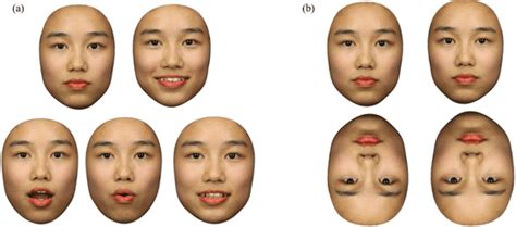 Example Of Face Stimuli Used In Experiment 1 Download Scientific Diagram