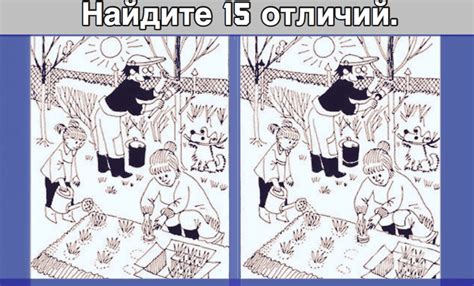 Картинки найди отличия взрослые с ответами