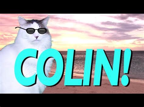 Happy Birthday Colin Epic Cat Happy Birthday Song Youtube