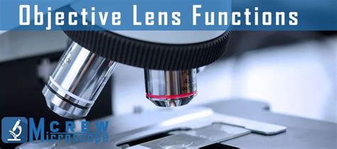 Function Of Objectives In A Microscope Microscope Crew