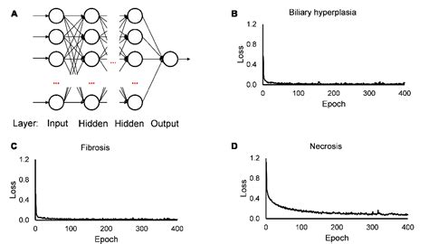 Table 1 From Deep Neural Network Models For Predicting Chemically Induced Liver Toxicity