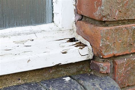 How To Repair A Rotted Wood Window Frame Feldco