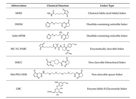 Review Of Structure Activity Relationship Based On Trastuzumab Adc
