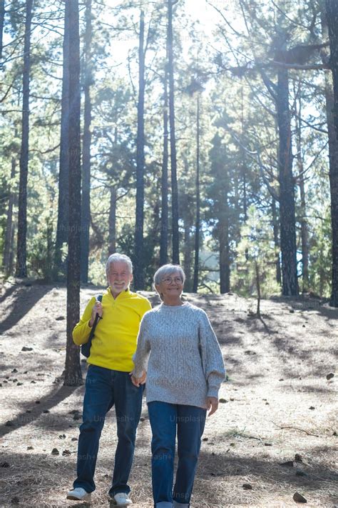 손을 잡고 숲에 앉아 있는 아름다운 행복한 노부부 백인 여자는 웃고 있는 남편을 껴안고 있다 화창한 날에 휴가의 자유와 자연 하이킹을 즐기는 노인 회색 머리 사람들 사진