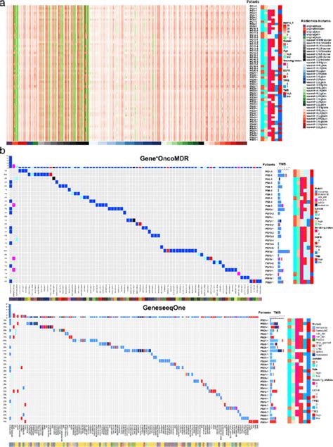 Radiomics And Somatic Variants Heatmap Oncoprint Of 61 Malignant Download Scientific Diagram