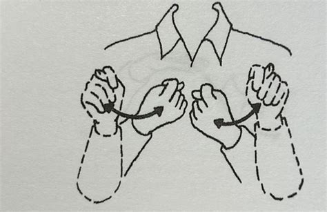 chpt 7 sign language playtime flashcards quizlet