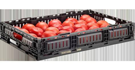 Produce Packaging Solution Automatic Rpc Erecting Fruits And Vegetables Edson