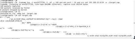 在linux中使用tcpdump命令 监听网络流量 linux 监听端口流量tcpdump csdn博客