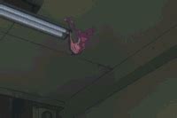 Pantsu S Get The Best  On Er