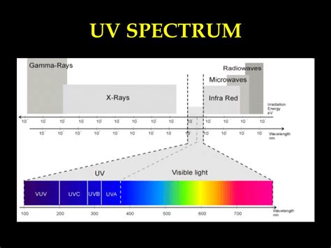 Ppt Biophysical Methods Powerpoint Presentation Free Download Id