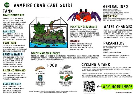 Best 13 Aquarium Crabs And Tankmates Possible Or Not Artofit