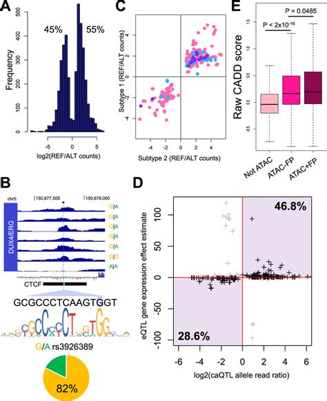 Dna Sequence Variation Impacts Chromatin Accessibility And Related