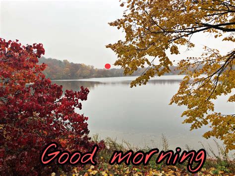 Nature Good Morning Quotes