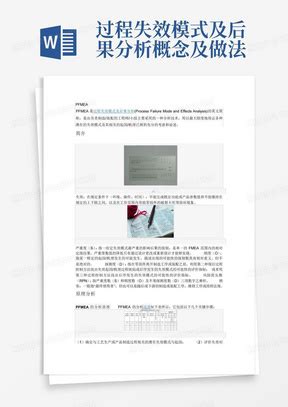 潜在失效模式及后果分析pfmea 案例 Word模板下载 编号lmjjrozd 熊猫办公