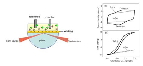 Technical Note 104 Concepts Behind Ec Spr Biosensing Instrument