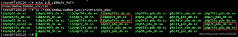 达梦适配php报错：unable to start pdo dm module in unknown on line 0 php