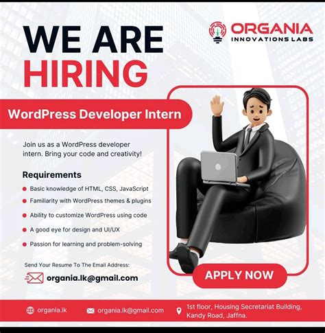 Wordpress Developer Internship Jobseekerlk