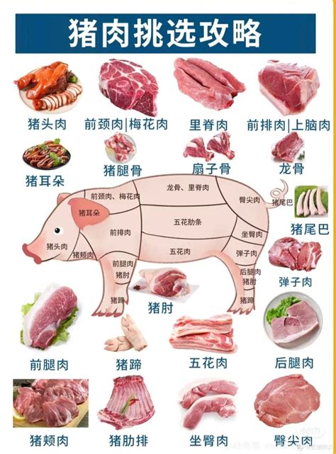 学会这招，轻松挑到优质猪肉！猪各部位挑选全攻略猪肉什么值得买