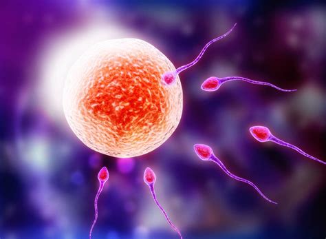 Yo Home Sperm Test Brings Male Fertility Testing To Smartphones