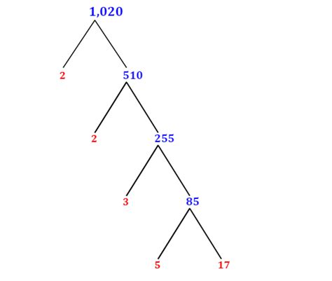 Prime Factorization Of 1 020 With A Factor Tree