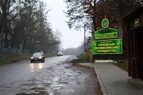 Лісгоспу на Волині передадуть ділянки площею понад 200 гектарів Волинь Online