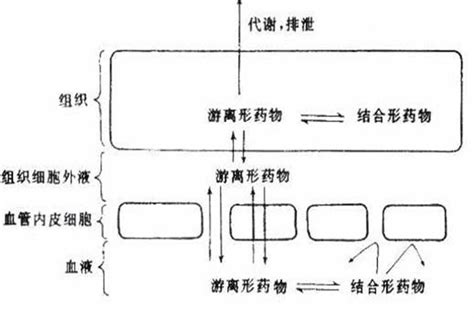 药物分子分布代谢评估服务 昊然 Admet性质预测服务 知乎
