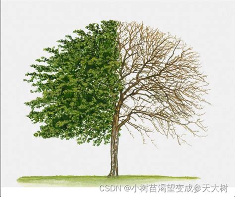 【数据结构】 关于树的概念和性质你了解多少？？ 树结构的性质 csdn博客