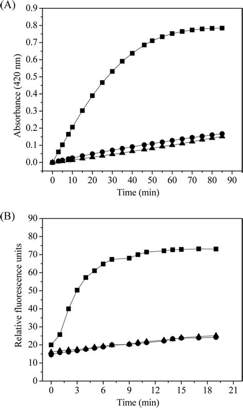 Permeability Of The Inner A And Outer B Membranes Of E Coli Download Scientific Diagram