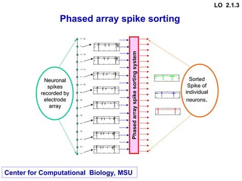 Beamforming Antennas And System Designppt