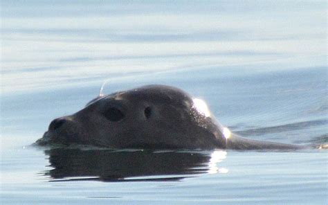 Photos From The Ledge