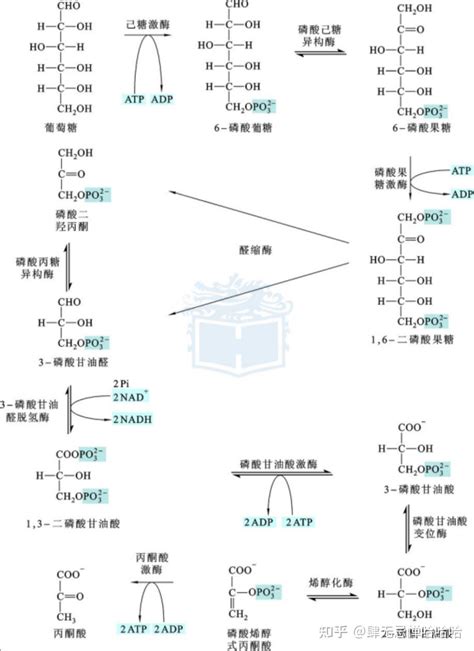 Emptcappp途径 知乎