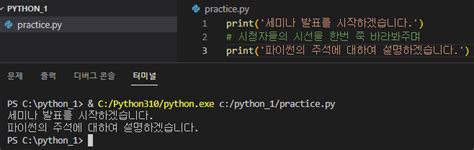 Python 3 문법 주석