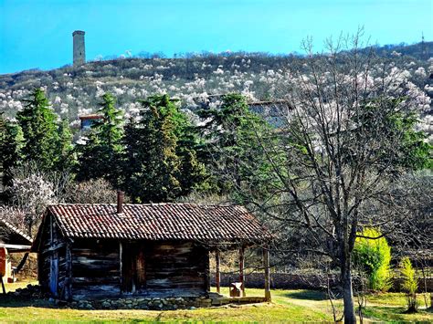 თბილისის ეთნოგრაფიული მუზეუმი ღია ცის ქვეშ Tbilisi Open Air Museum Tbilisi