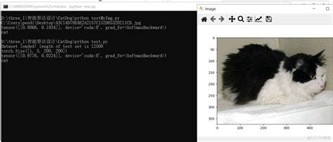 猫狗分类python 猫狗分类算法mob6454cc6553fc的技术博客51cto博客
