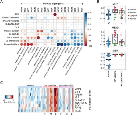 T Cell Activation And Plasmablast Plasma Cell Differentiation Pathways Download Scientific