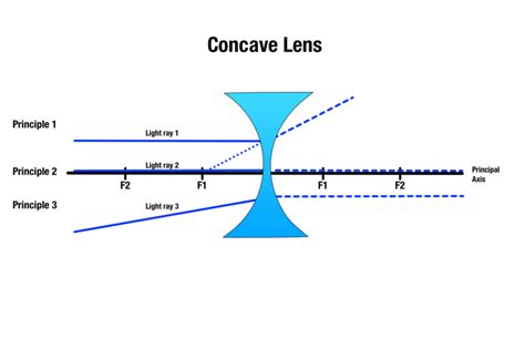 Concave Vs Convex Whats The Difference The Word Counter