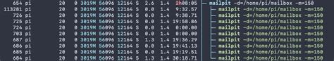 Logs Flooded With Runvalueloggc Messages Issue Axllent Mailpit Github