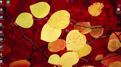 Install Devexpress 2011 Youtube