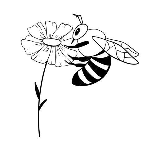 Premium Vector Honey Bee On Flower Isolated On White Insect In Hand