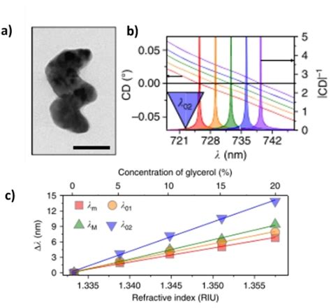 Probing Interactions Between Chiral Plasmonic Nanoparticles And